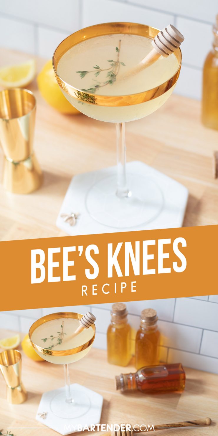 20 Best Beginner Cocktails to Drink in 2023 - MyBartender