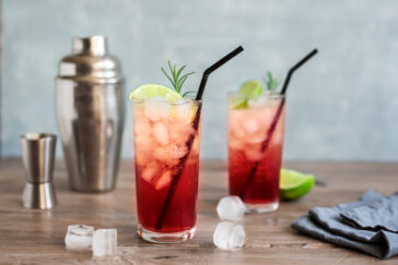 10 Best Sloe Gin Cocktails to Drink