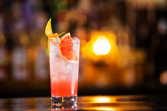 13 Best Highball Cocktails to Drink