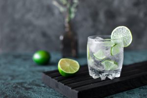 10 Best Tonic Water Cocktails to Drink