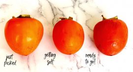 7 Easy Persimmon Cocktails: Fresh Flavors for Your Home Bar