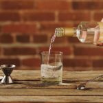 15 Best Polish Vodka Brands to Drink