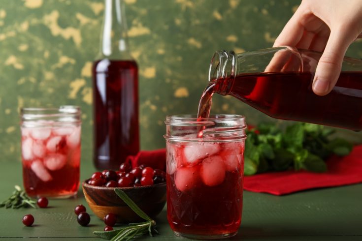 19 Best Cranberry Cocktails to Try This Fall - MyBartender