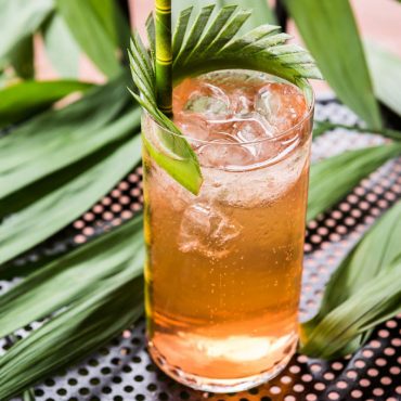 11 Best Sotol Cocktails to Mix in 2025