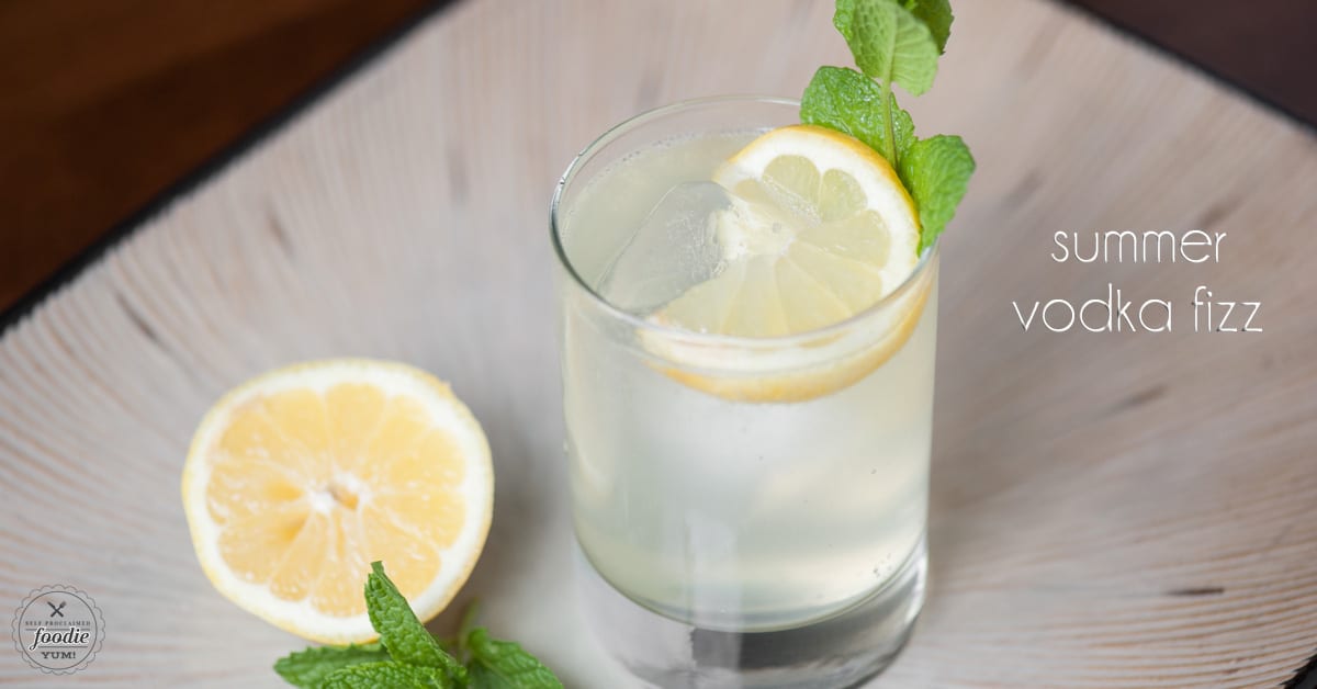 12 Best Lemon Vodka Cocktails You Need to Taste - MyBartender
