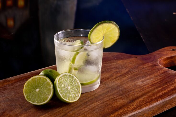 11 Best American Vodka Brands to Try in 2023 - MyBartender