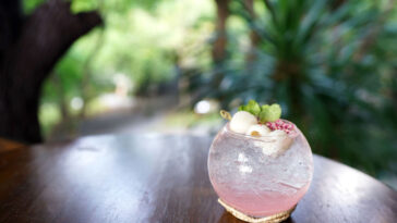 10 Best Lychee Cocktails to Drink in 2023 - MyBartender