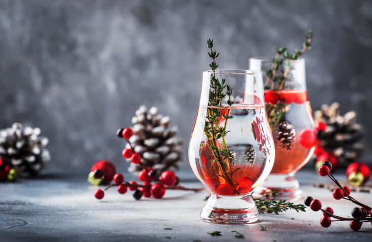 9 Best Christmas Tequila Cocktails for this Season - MyBartender