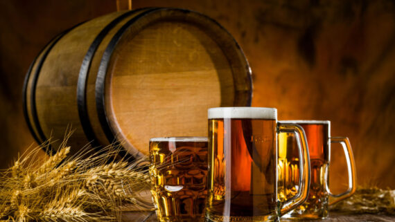A Guide to the 18 Types of Beer in 2026 - MyBartender