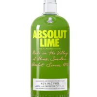 19 Best Absolut Vodka Flavors to Drink