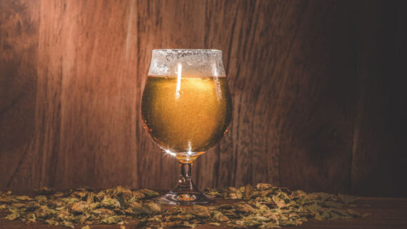A Guide to the 18 Types of Beer in 2026 - MyBartender