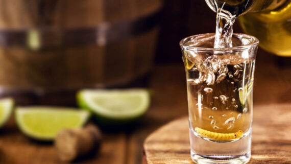 9 Types of Mezcal You Should Know - MyBartender