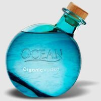 10 Best Organic Vodka Brands to Drink