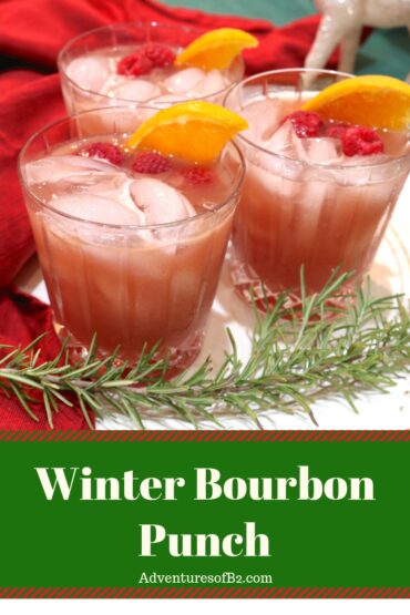 15 Best Winter Punch Recipes to Try