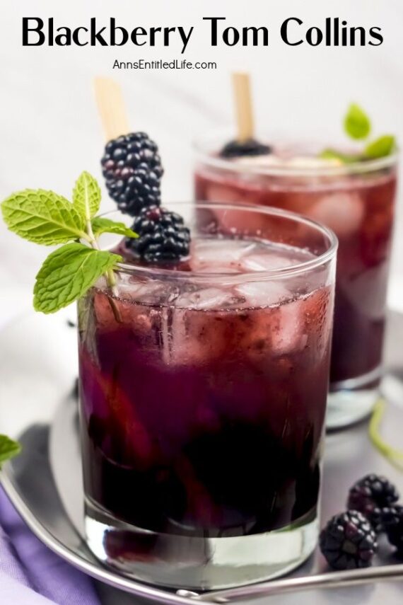 15 Best Blackberry Cocktails to Drink