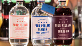 11 Different Types of Gin Explained
