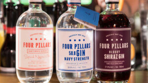 11 Different Types of Gin Explained