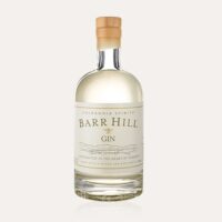 13 Best Gins for Making a Negroni