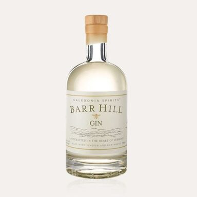 13 Best Gins for Making a Negroni