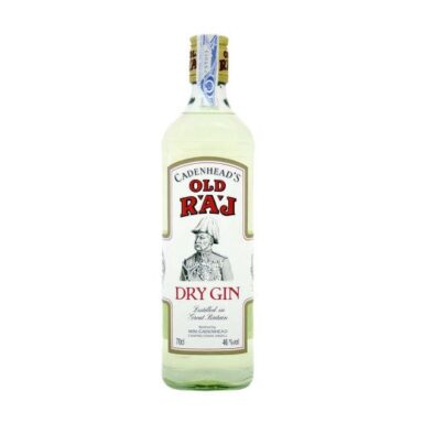 14 Best Gins for Martinis
