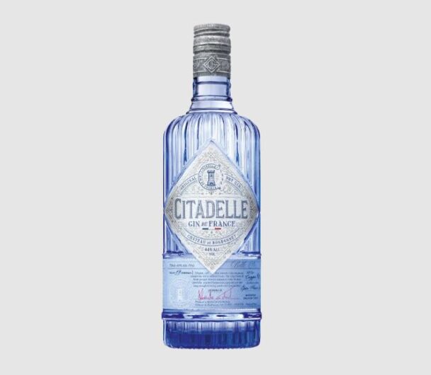 13 Best Gins for a Gin and Tonic