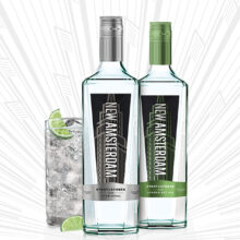 10 Best Cheap Gins to Drink in 2026 - MyBartender