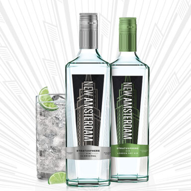 10 Best Cheap Gins to Drink in 2026 - MyBartender