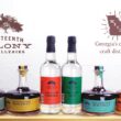 10 Best Cheap Gins to Drink in 2026 - MyBartender