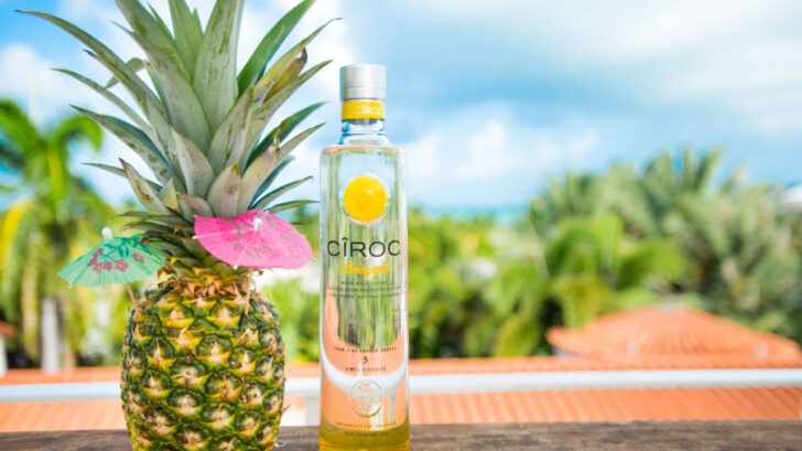12 Best Ciroc Vodka Flavors to Drink