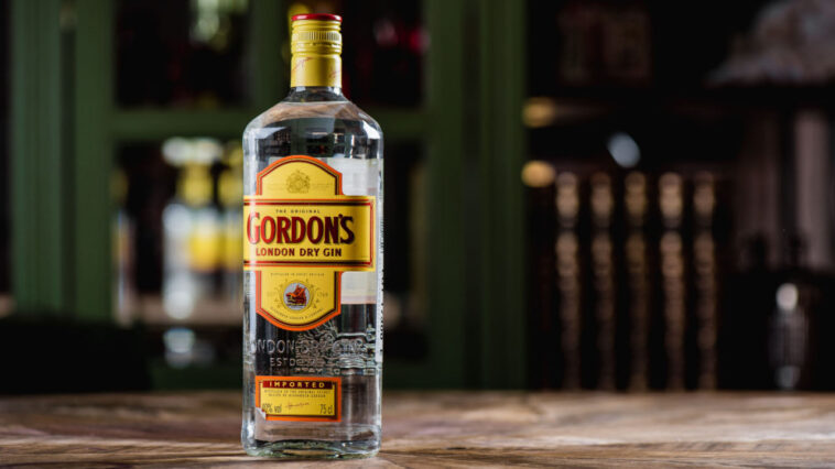 8 Best Cheap Gins Under $20