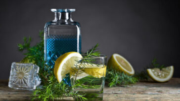 21 Types of Liquor: Alcohols of the World - MyBartender