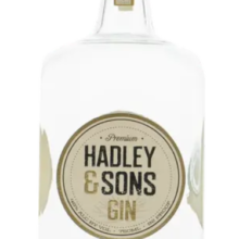 10 Best Cheap Gins to Drink in 2026 - MyBartender