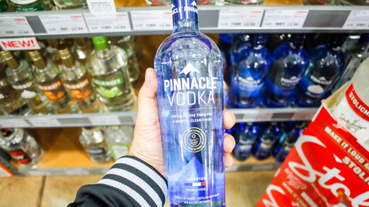 24 Best Pinnacle Vodka Flavors to Drink