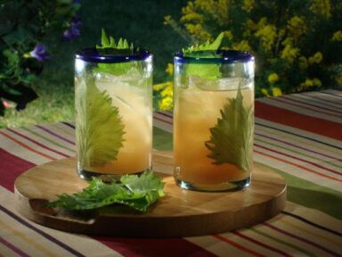 12 Best Chinese Cocktails to Drink