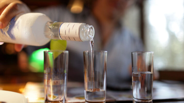 15 Best Low Calorie Vodkas to Drink