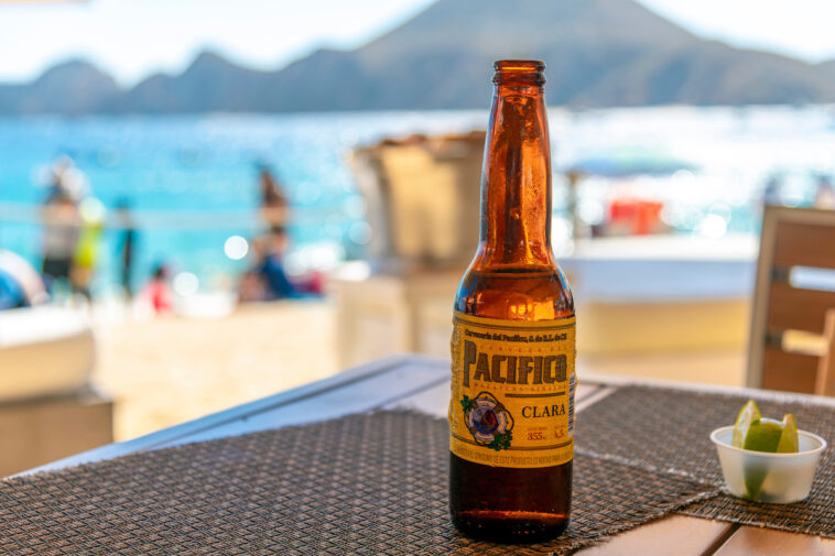 10 Best Mexican Beers to Drink