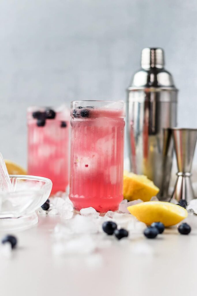 21 Best Summer Vodka Cocktails to Drink