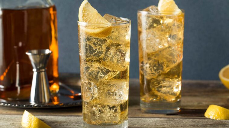 13 Best Highball Cocktails to Drink