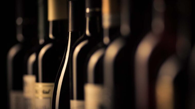 16 Best Low Calorie Wines to Try