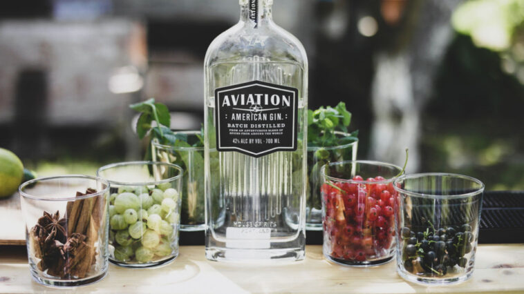 The 12 Types of Gin You Have to Try - MyBartender