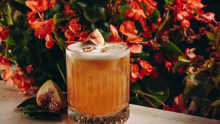 19 Best Sour Cocktails to Drink