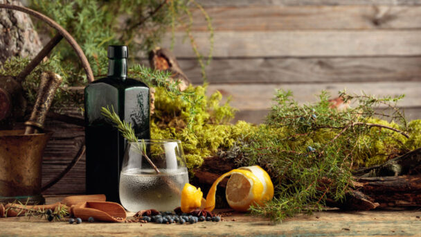 The 12 Types of Gin You Have to Try - MyBartender