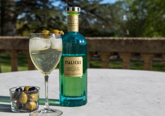 11 Best Italicus Cocktails to Drink