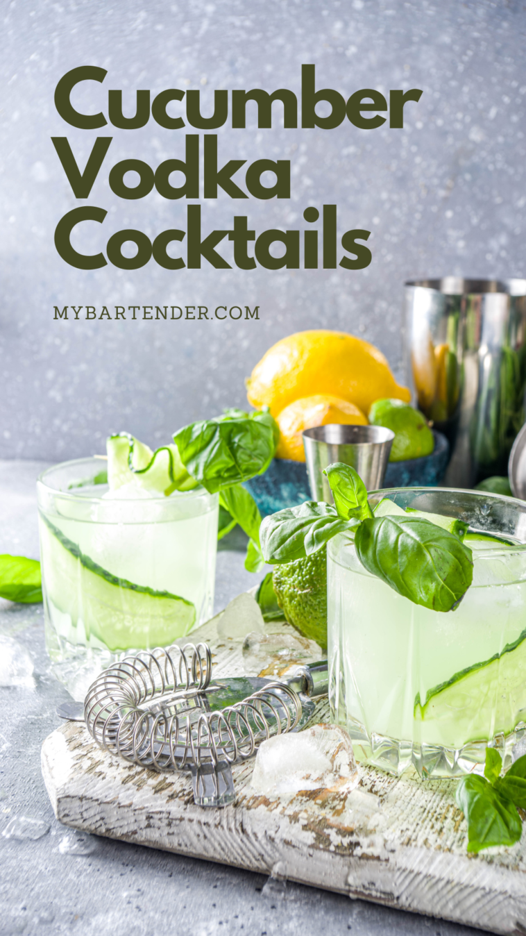 10 Best Cucumber Vodka Cocktails to Drink - MyBartender