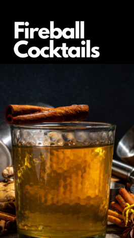 15 Best Fireball Cocktails to Drink