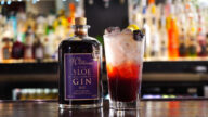 11 Different Types of Gin Explained