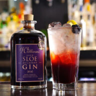 10 Best Sloe Gin Cocktails to Drink