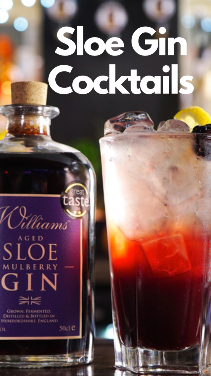 10 Best Sloe Gin Cocktails to Drink