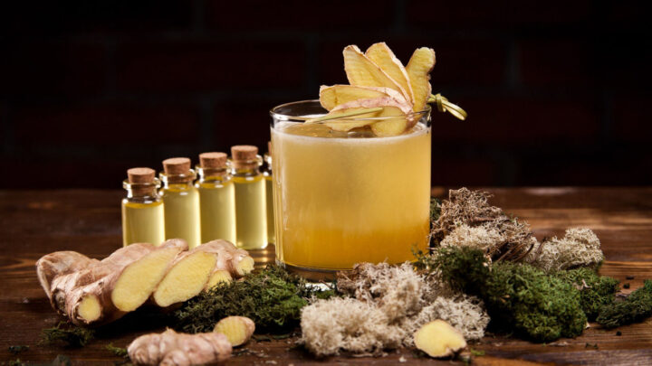 20 Best Ginger Cocktails to Drink - MyBartender