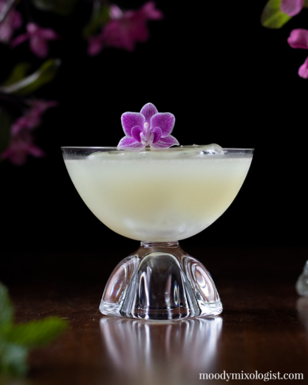 11 Best Absinthe Cocktails To Drink